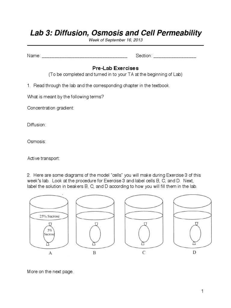 Lab 3 Cell Permeability 2013 | Osmosis | Applied And Interdisciplinary ...