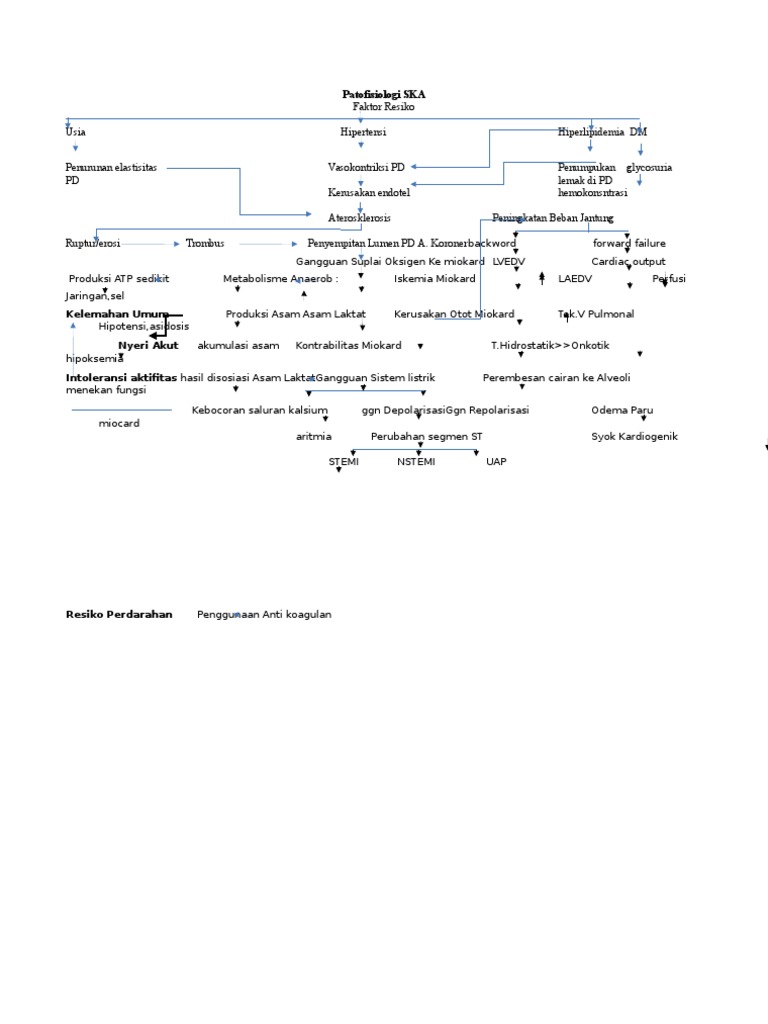 Patofisiologi SKA Perki 2015 | PDF