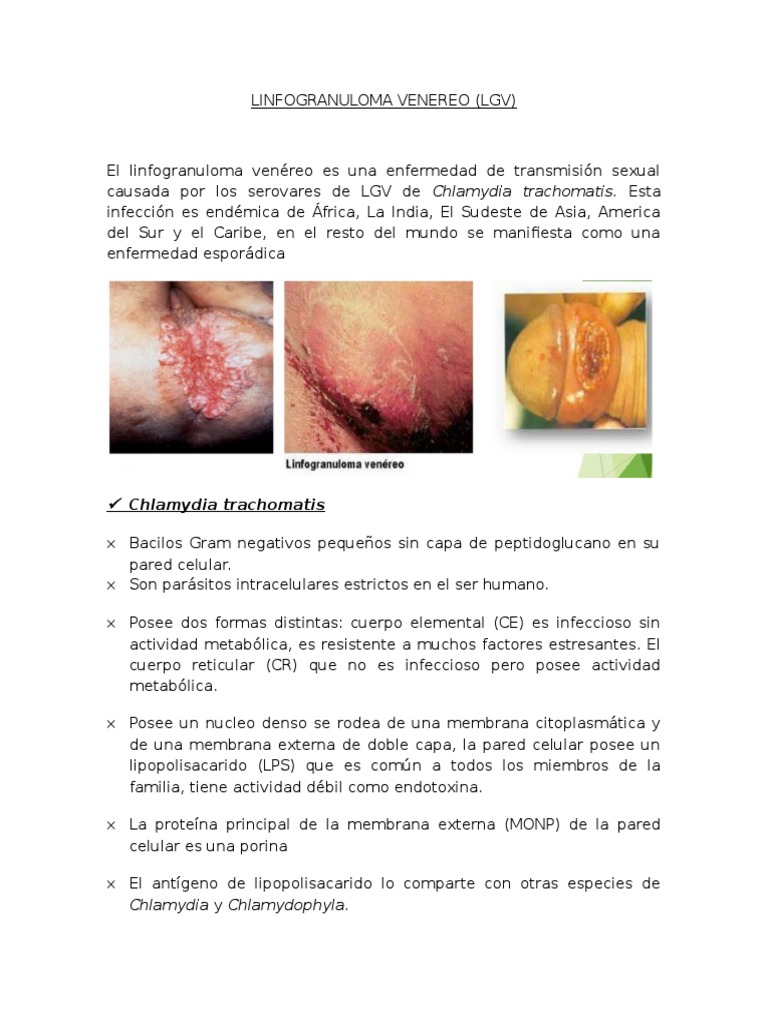 Linfogranuloma Venereo | PDF | Inflamación | Infección