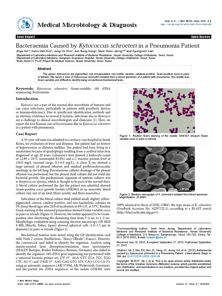 Bacteraemia Caused by Kytococcus Schroeteri in A Pneumonia Patient PDF ...