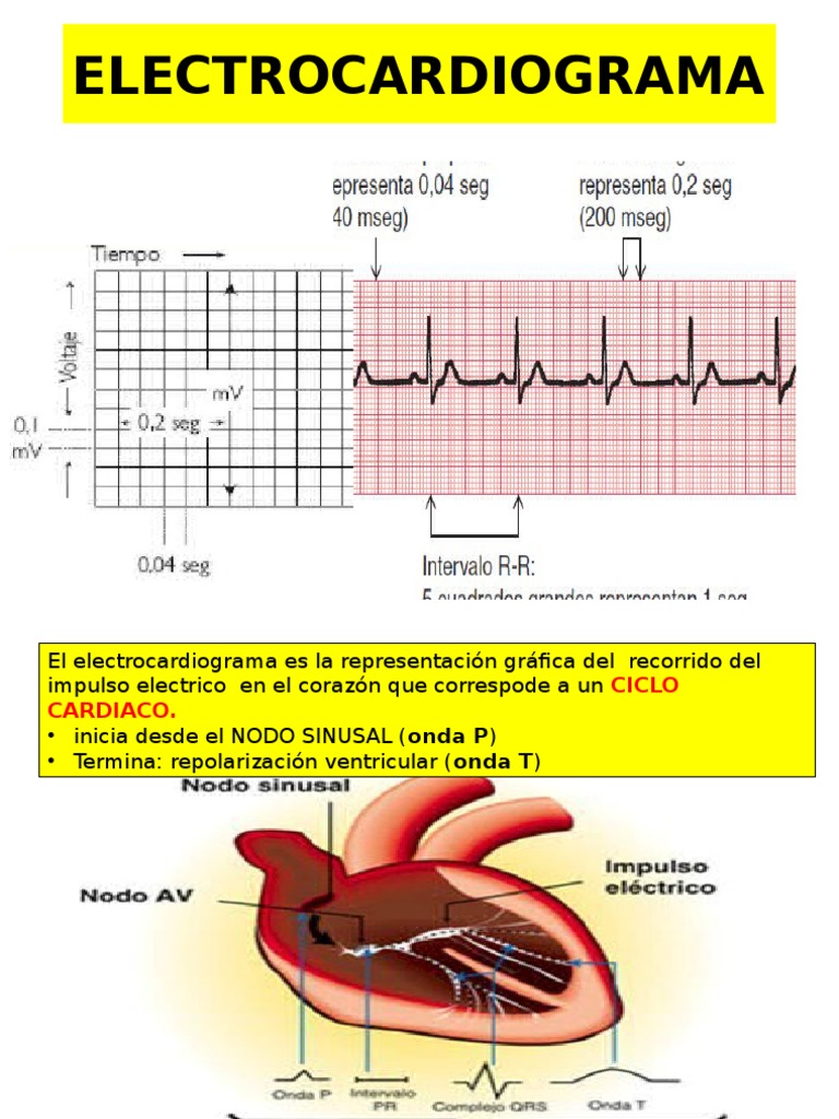 ELECTROCARDIOGRAMA | Electrocardiografia | Tórax (anatomía humana)