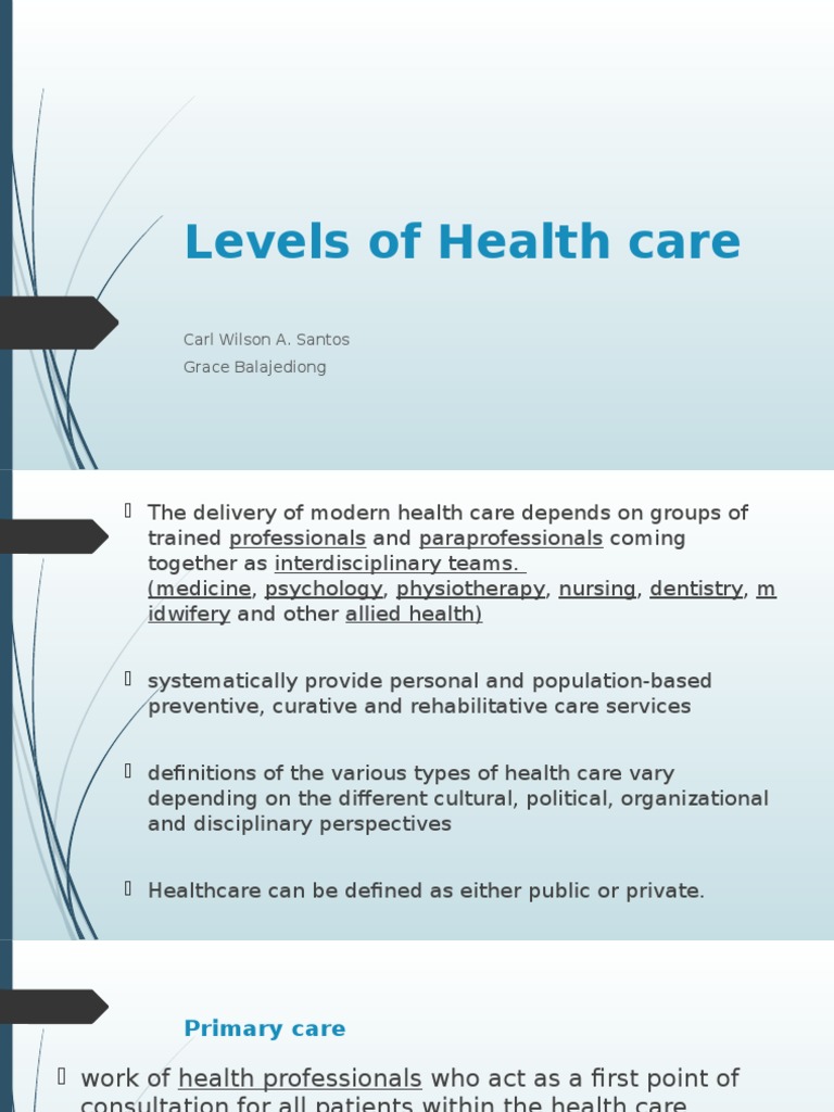 Levels of Health Care Delivery Explained | PDF