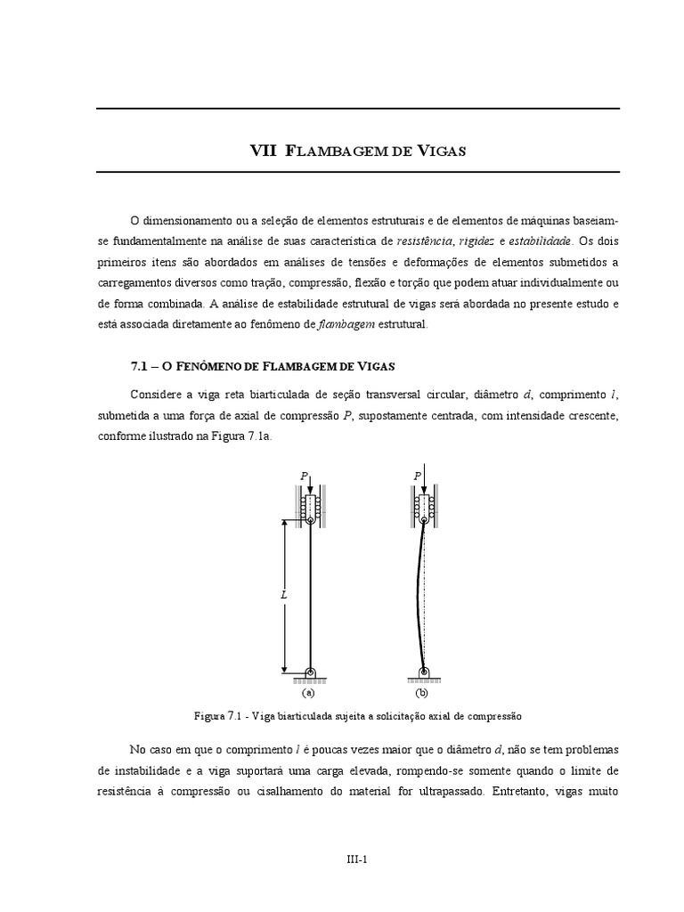 Análise da Flambagem de Vigas sob Compressão com Diferentes Tipos de ...