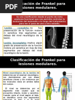 Clasificación de Frankel para Lesiones Modulares | PDF