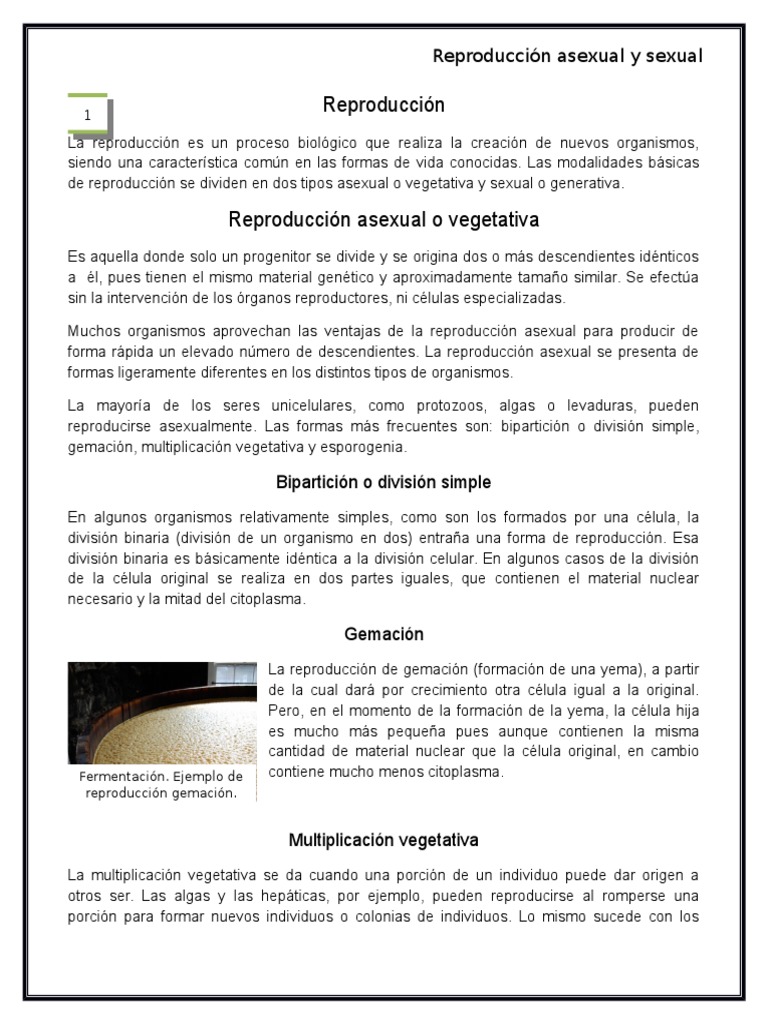 Reproducción Vegetativa | Descargar gratis PDF | Reproducción | Flores