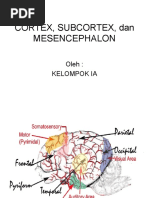 Butler Neural Mobilization | PDF | Nervous System | Nerve
