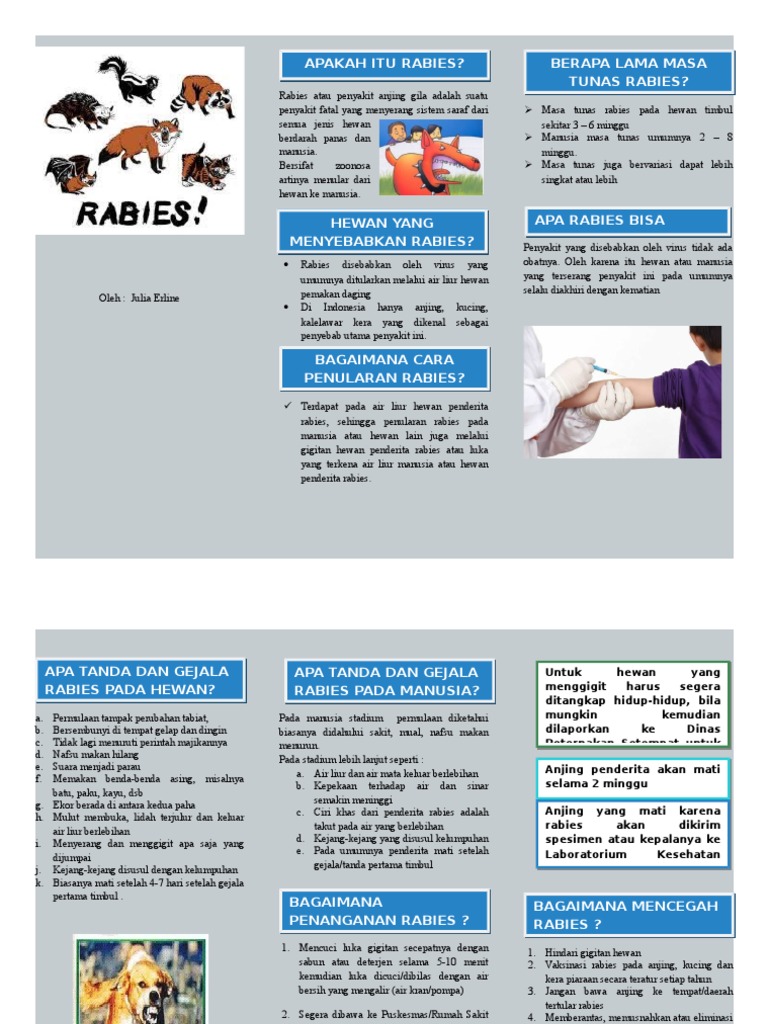 Leaflet Rabies | PDF | Pengembangan Diri | Kesehatan Holistik