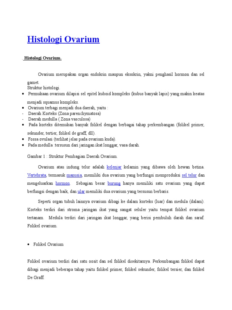 Histologi Ovarium dan Folikel Reproduksi | PDF