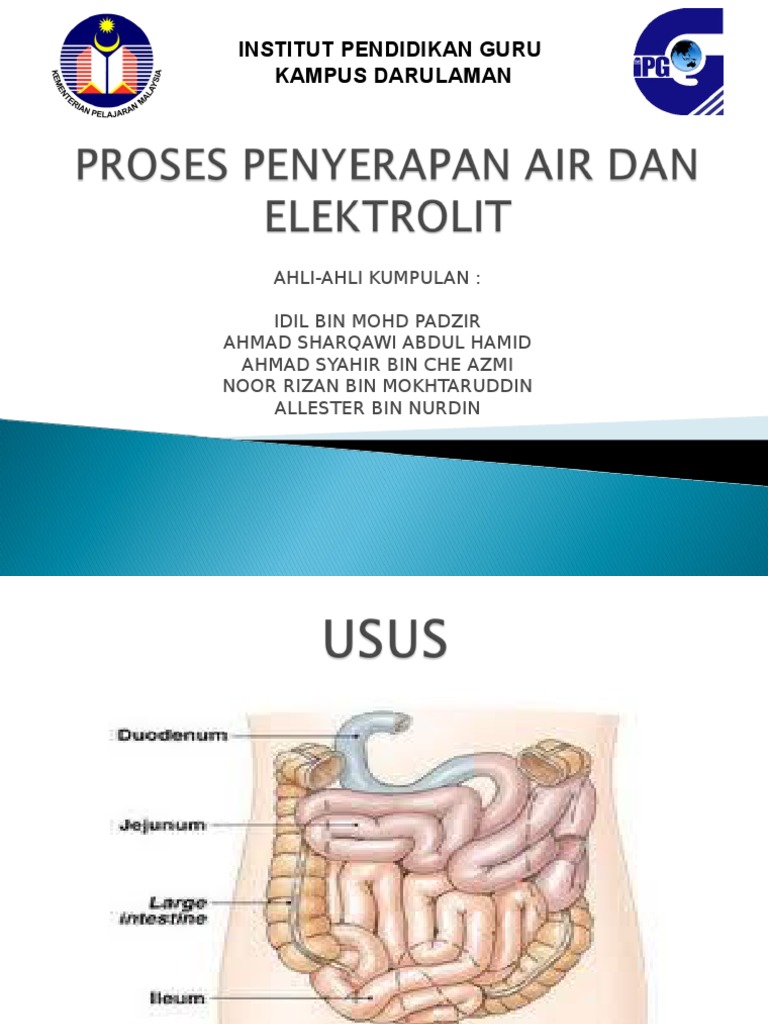 Penyerapan Air & Elektrolit (PJM3106) | PDF