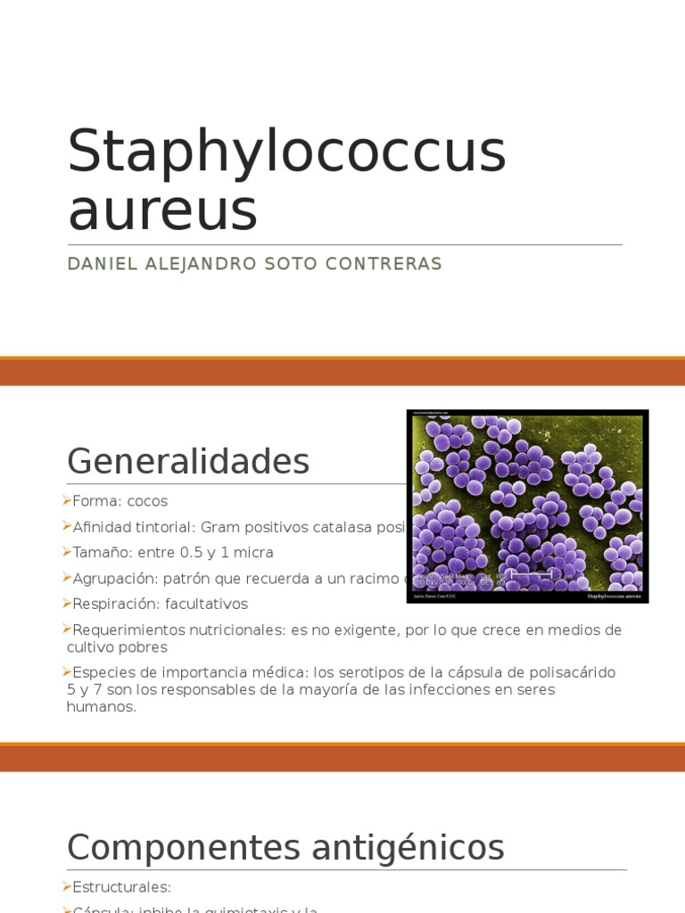 Staphylococcus Aureus | PDF | Staphylococcus Aureus | Diarrea