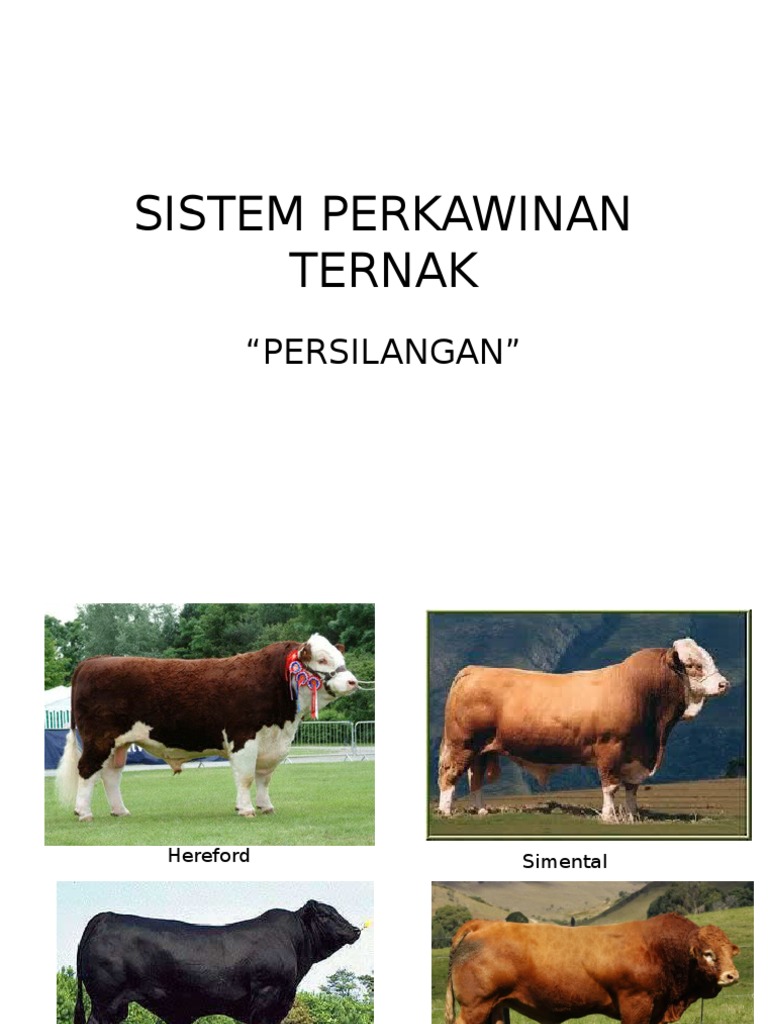 Sistem Perkawinan Ternak | PDF