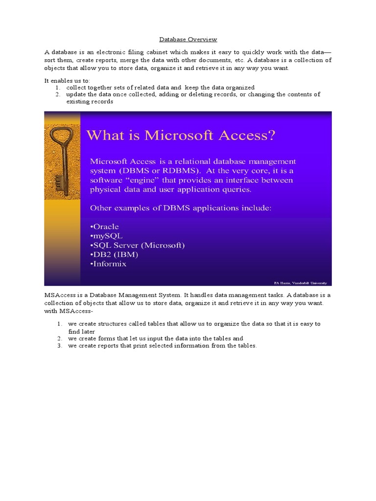 MSAccess Database Management System | Download Free PDF | Microsoft Access | Databases