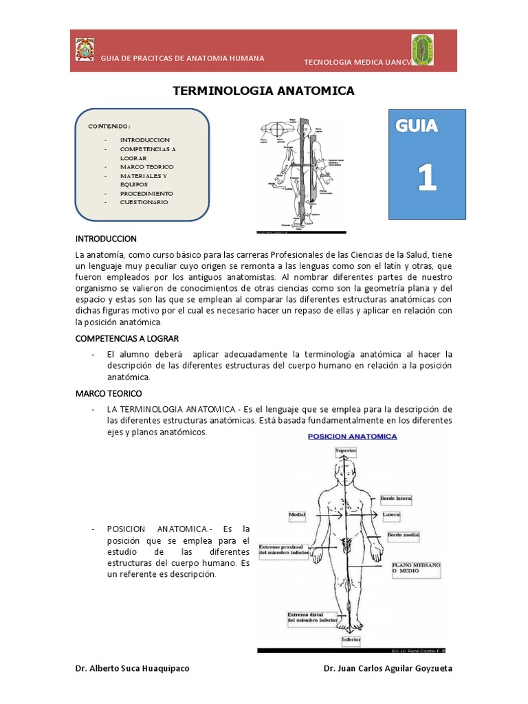 Guía de Anatomía: Terminología y Prácticas | PDF | Articulación | Anatomía