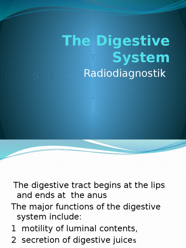 A Comprehensive Overview of the Anatomy and Common Pathologies of the ...