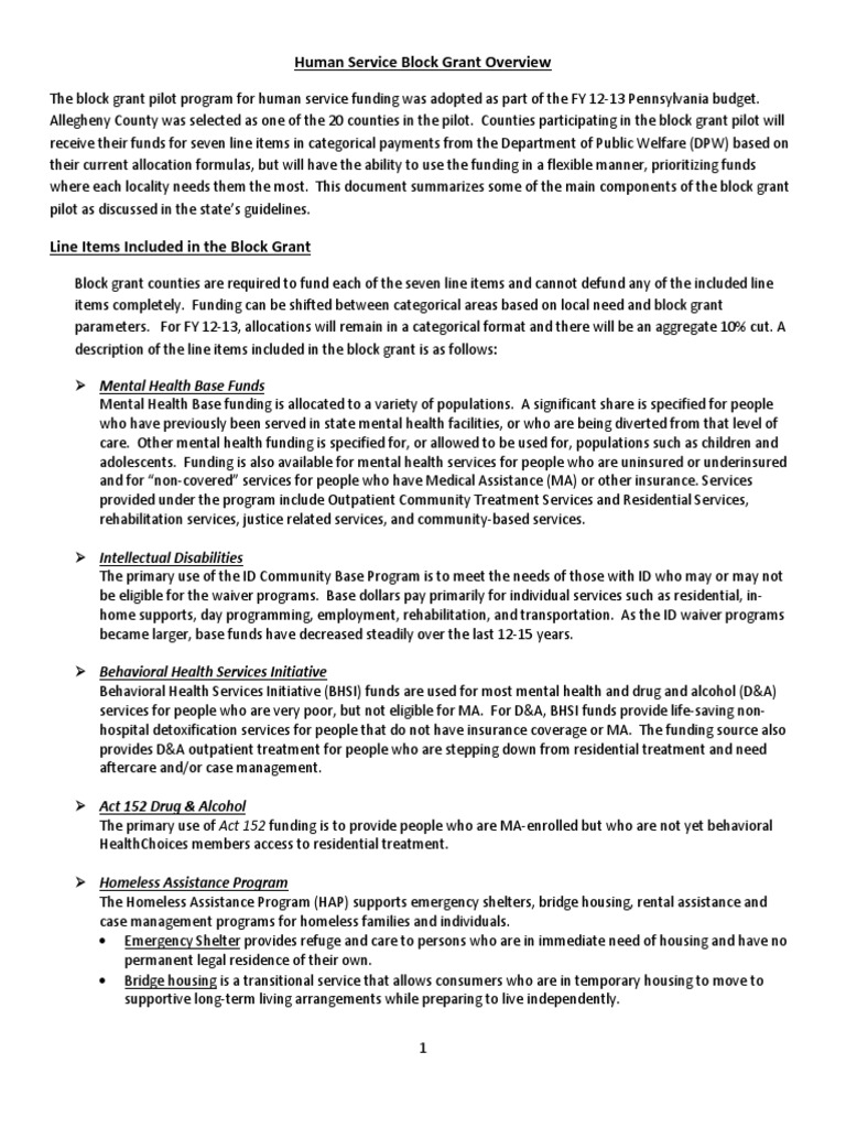 Block Grant Overview Handout | PDF | Homelessness | Mental Health