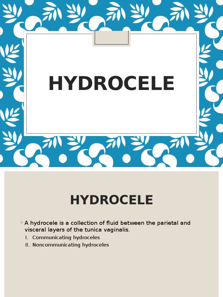 Hydrocele | PDF | Testicle | Medicine