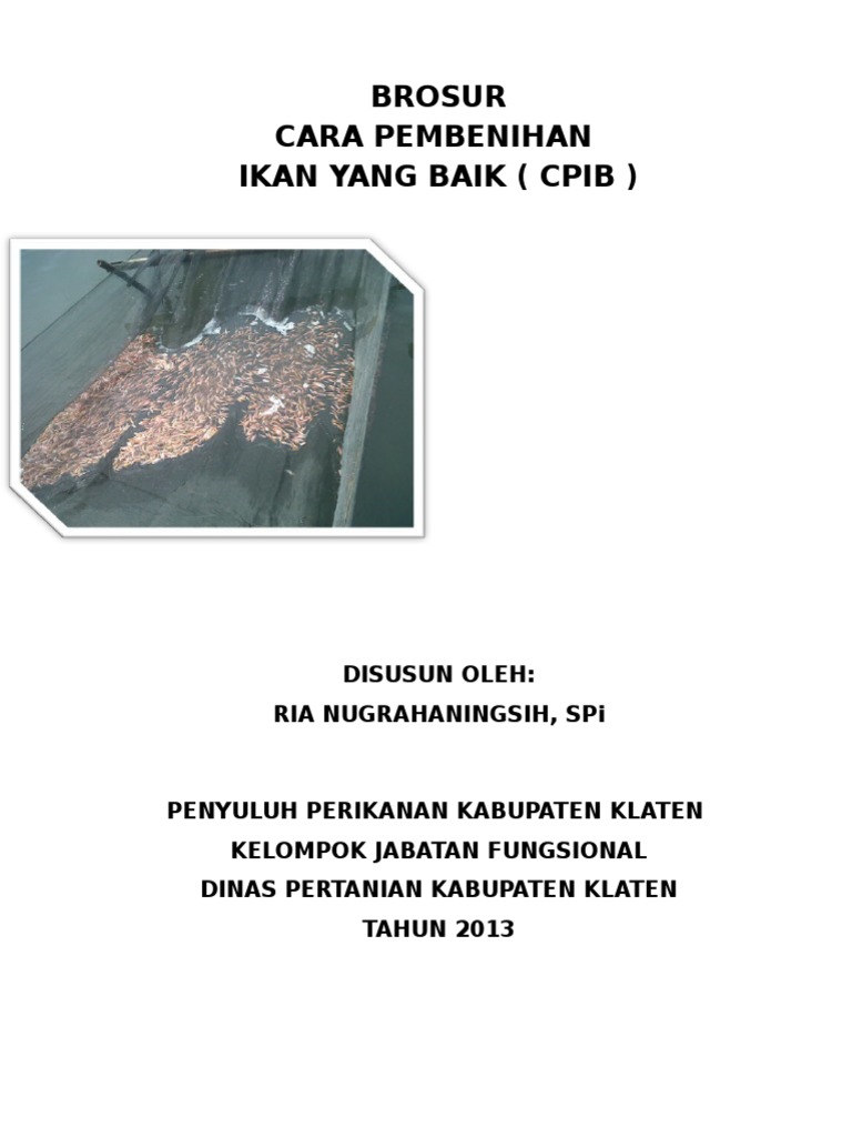 Brosur Cpib 2013 | PDF