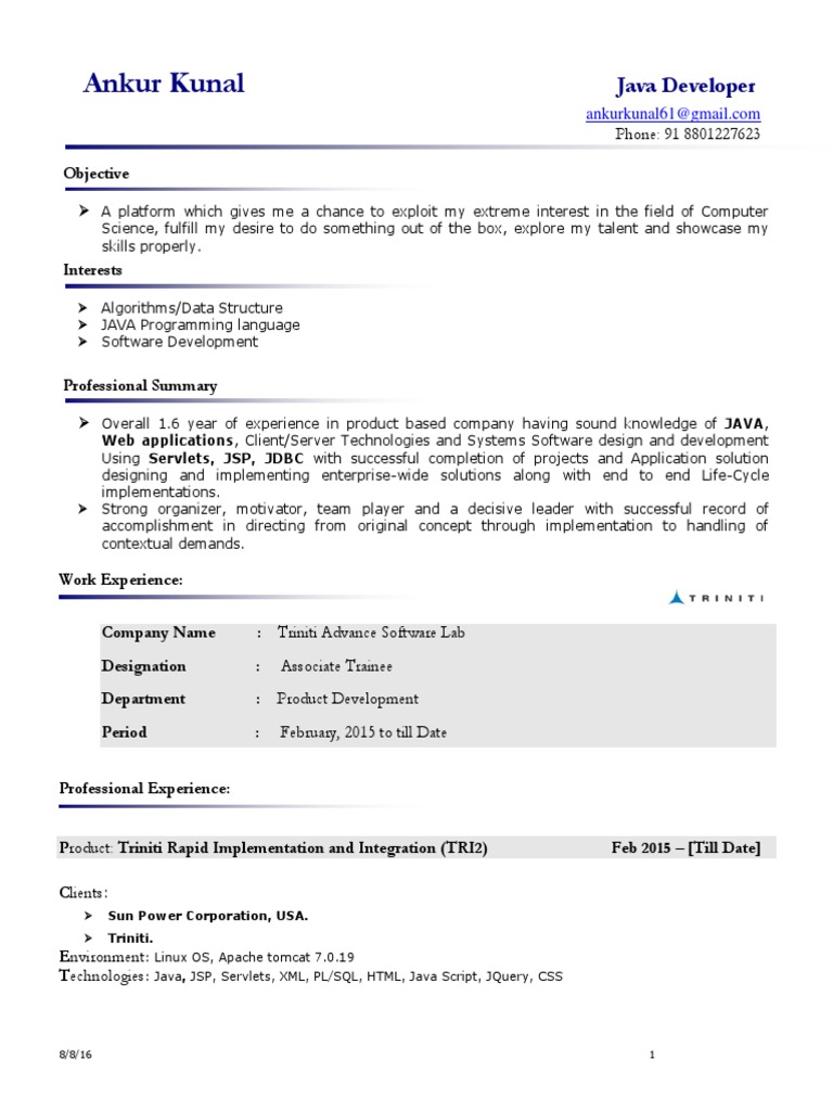 Ankur Kunal: Java Developer | PDF | Java Server Pages | Java Servlet