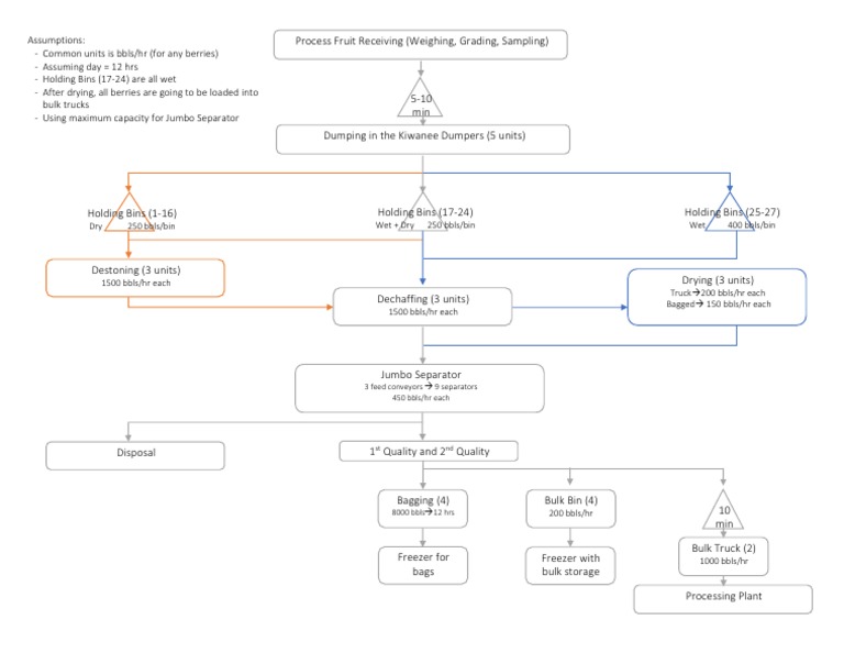 Optimizing Blueberry Processing: A Flowchart and Assumptions for ...