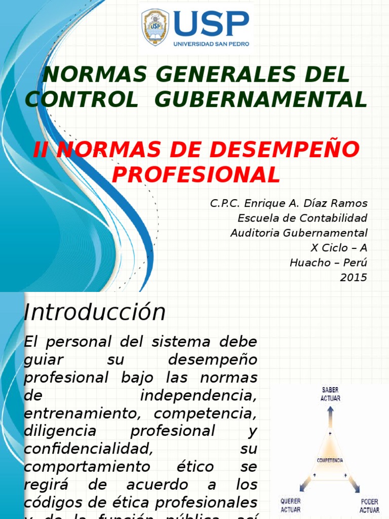 12 Normas de Desempeño Profesional