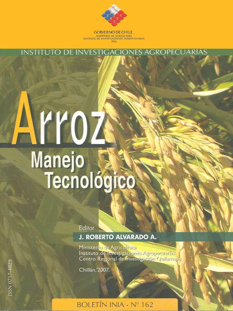 Arroz PDF | PDF