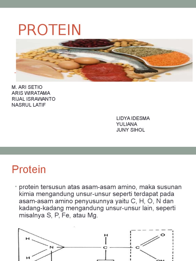Struktur dan Fungsi Protein dalam Biologi | PDF