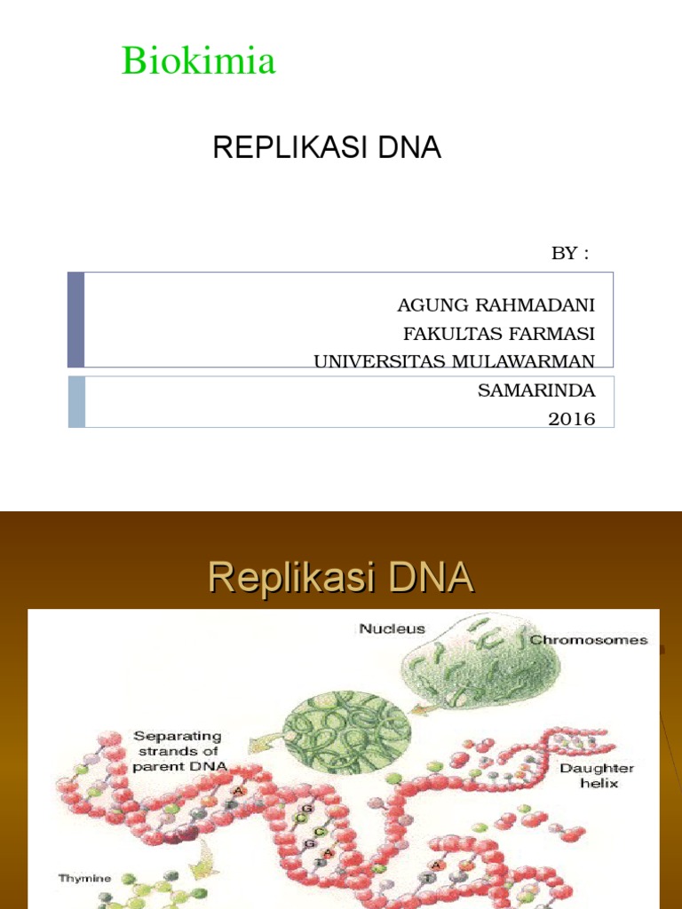 Proses Replikasi DNA dan Enzim Terkait | PDF