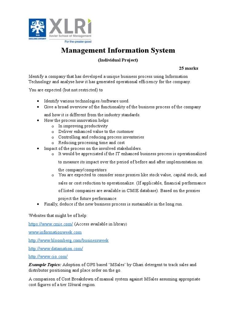 MIS Project Details | PDF