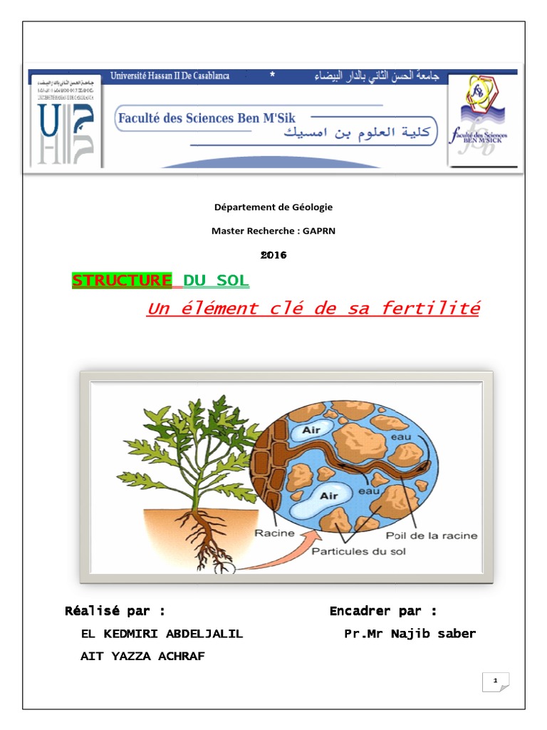 Importance de la Structure du Sol | PDF | Argile | Sol (pédologie)