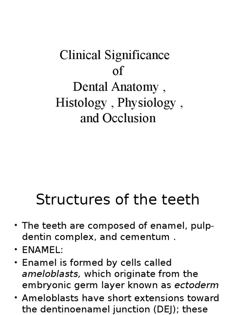 Anatomy, and Physiology of Teeth | PDF | Tooth Enamel | Dentin
