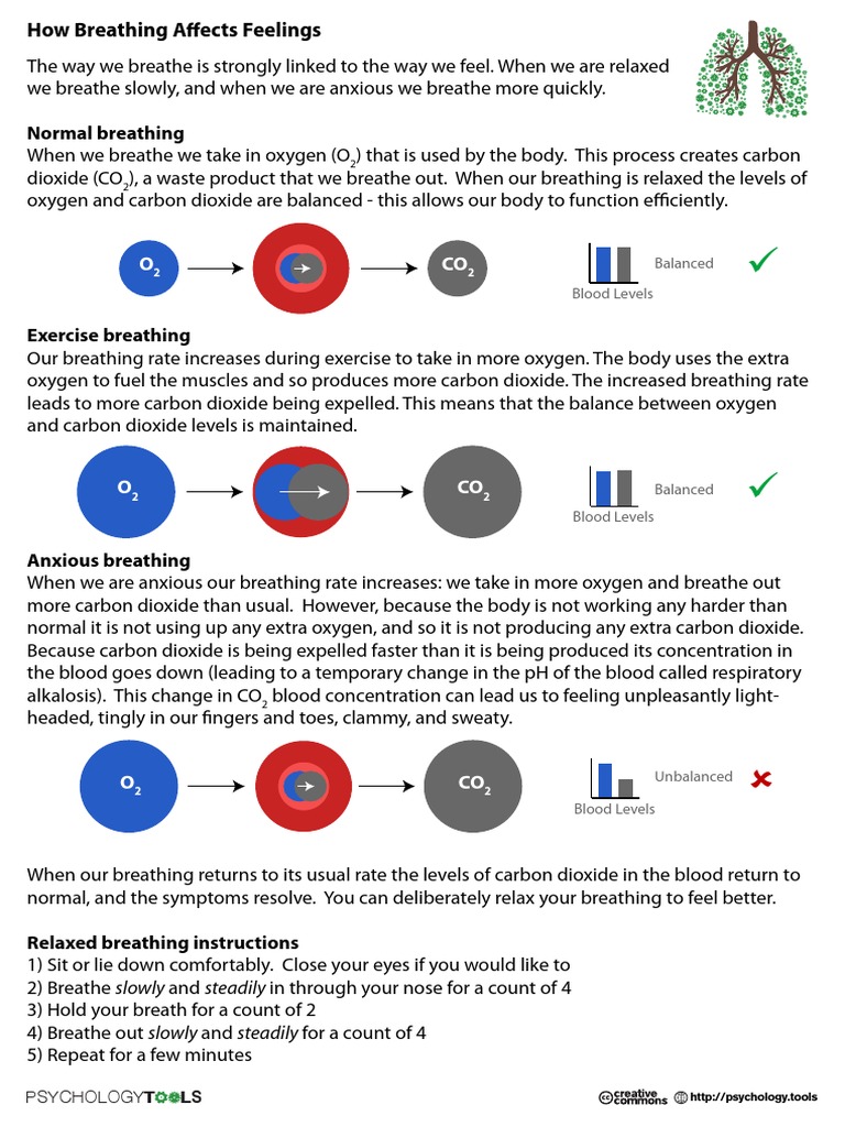 Breathing's Impact on Emotions | PDF