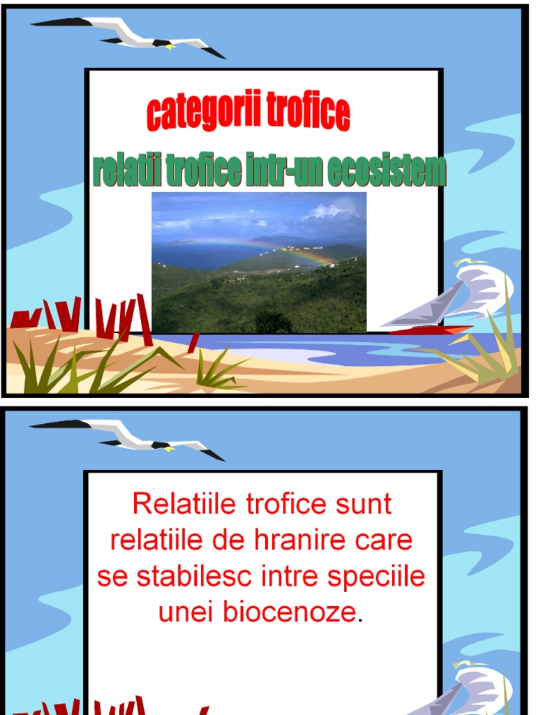 Relatii Trofice in Ecosistem | PDF