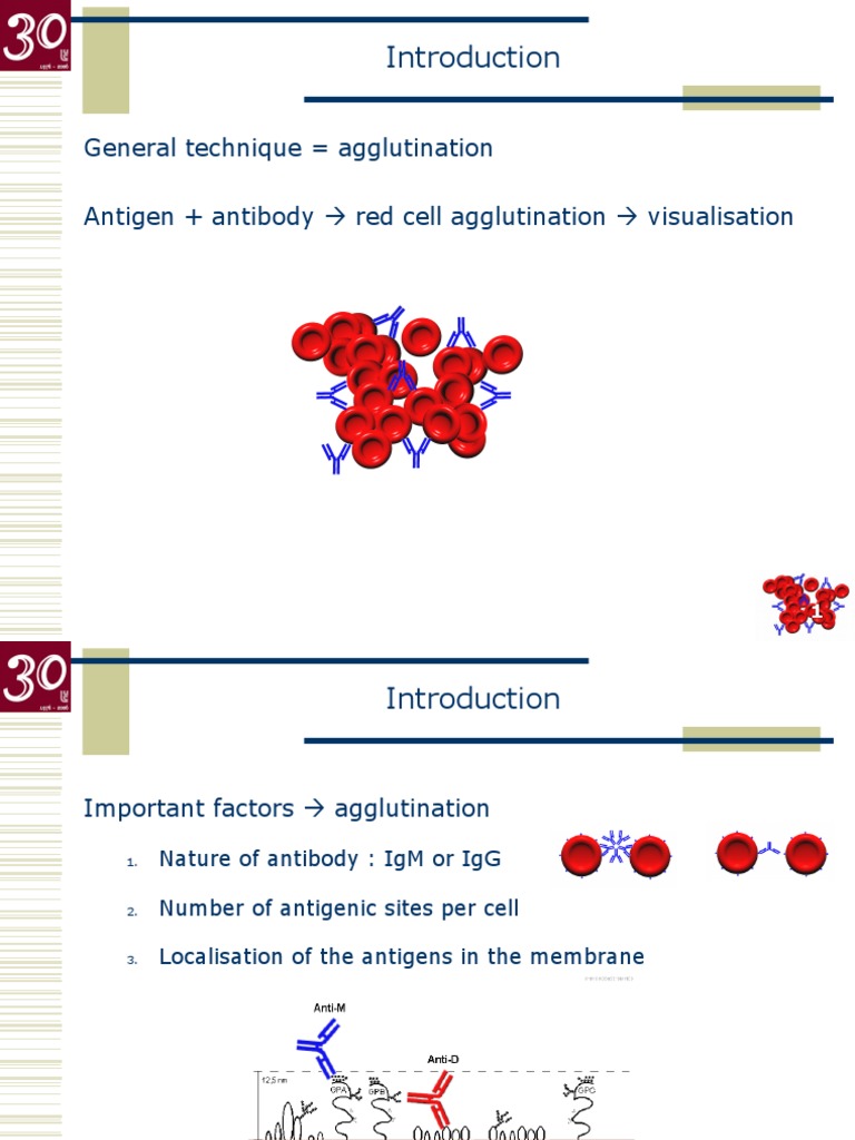 General Technique Agglutination Antigen + Antibody Red Cell ...