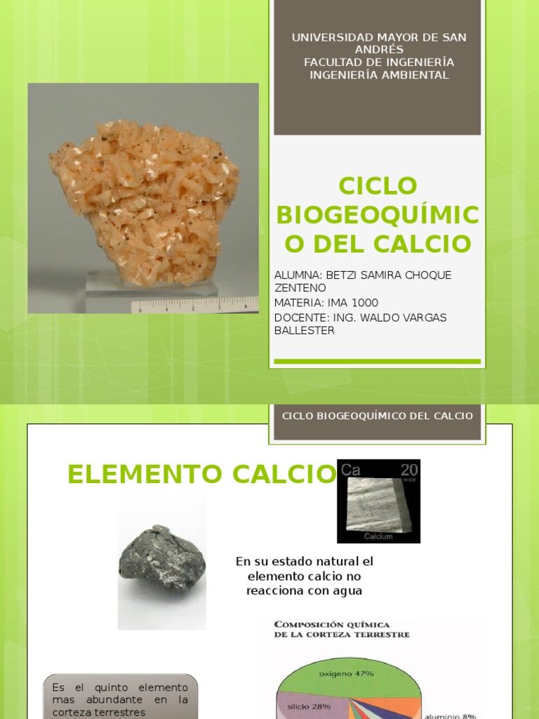 Ciclo Biogeoquímico Del Calcio | PDF | Calcio | Caliza