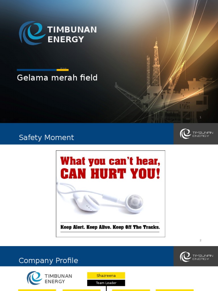 Fdp Presentation Slide Pdf Casing Borehole Petroleum Reservoir