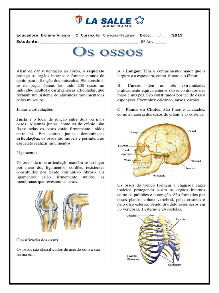 Exercicios de Fixacao Ossos - EFII PDF | Download grátis PDF ... Exercicios de Fixacao Ossos - EFII PDF | Download grátis PDF ...