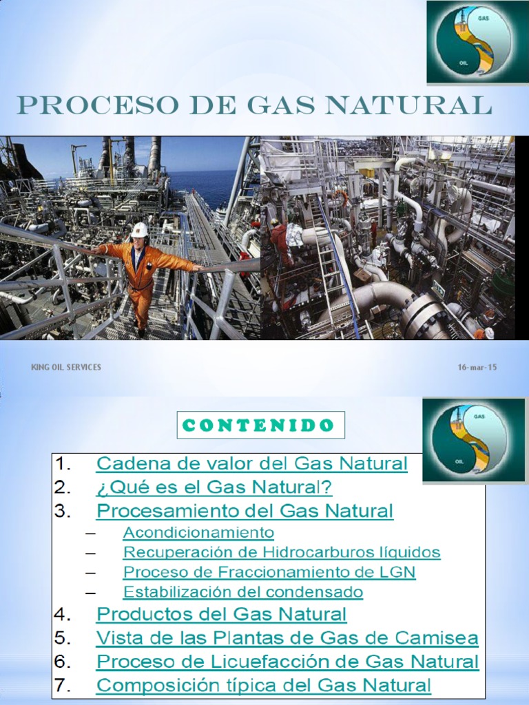 Proceso de Gas Natural | PDF
