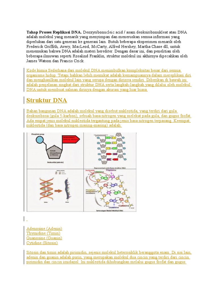 Tahap Proses Replikasi DNA | PDF