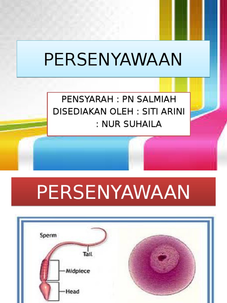 PERSENYAWAAN | PDF | Kesehatan Holistik