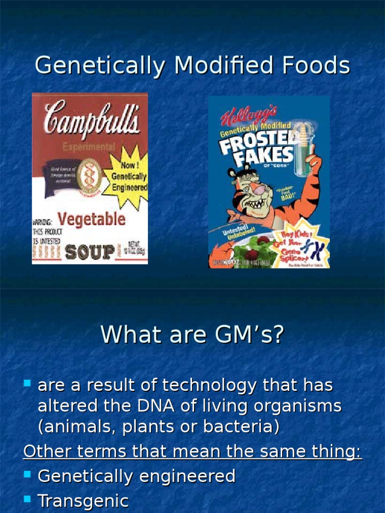 Genetically Modified Organisms | PDF | Genetic Engineering ...