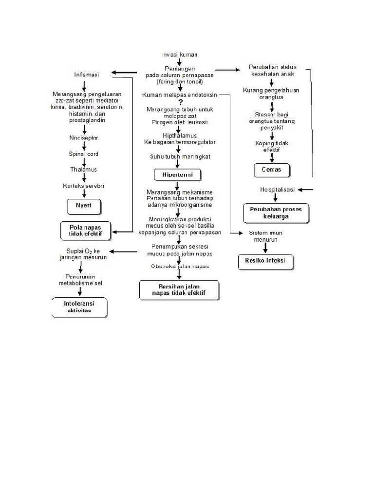Patoflow Diagram | PDF