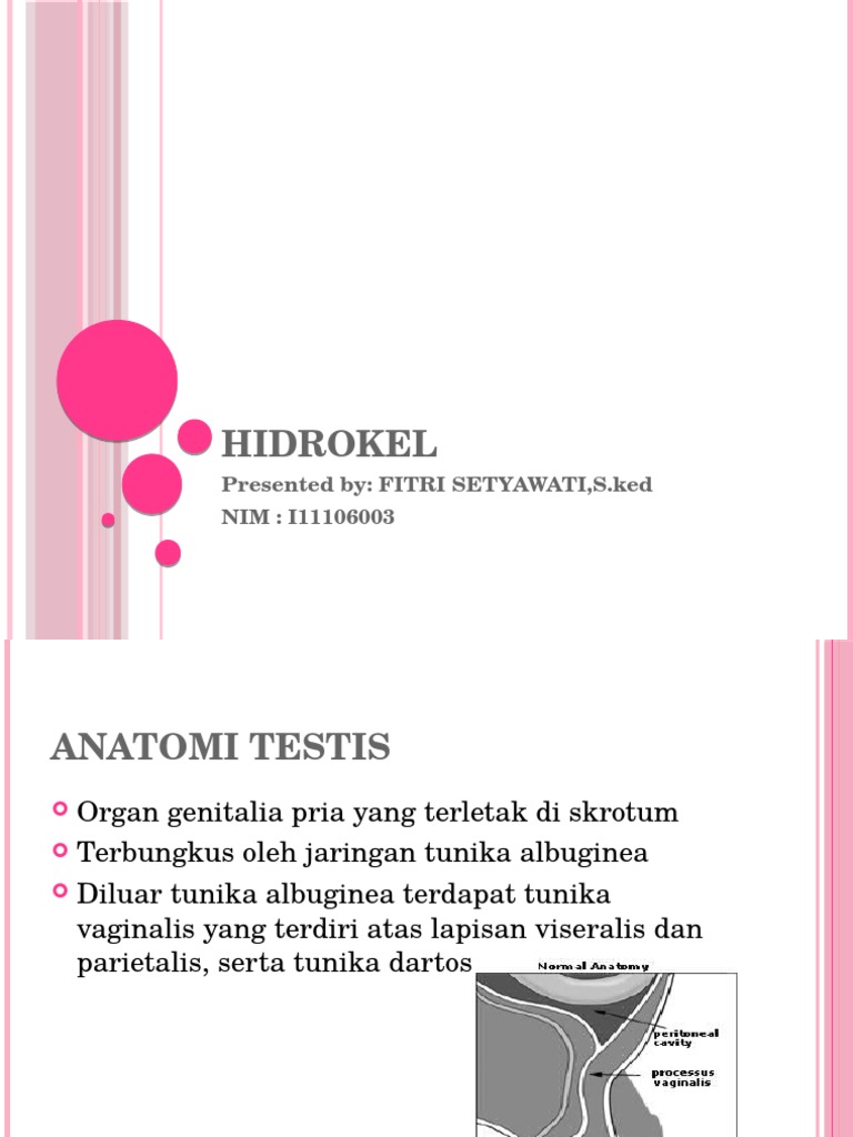 Hidrokel Dan Hernia | PDF