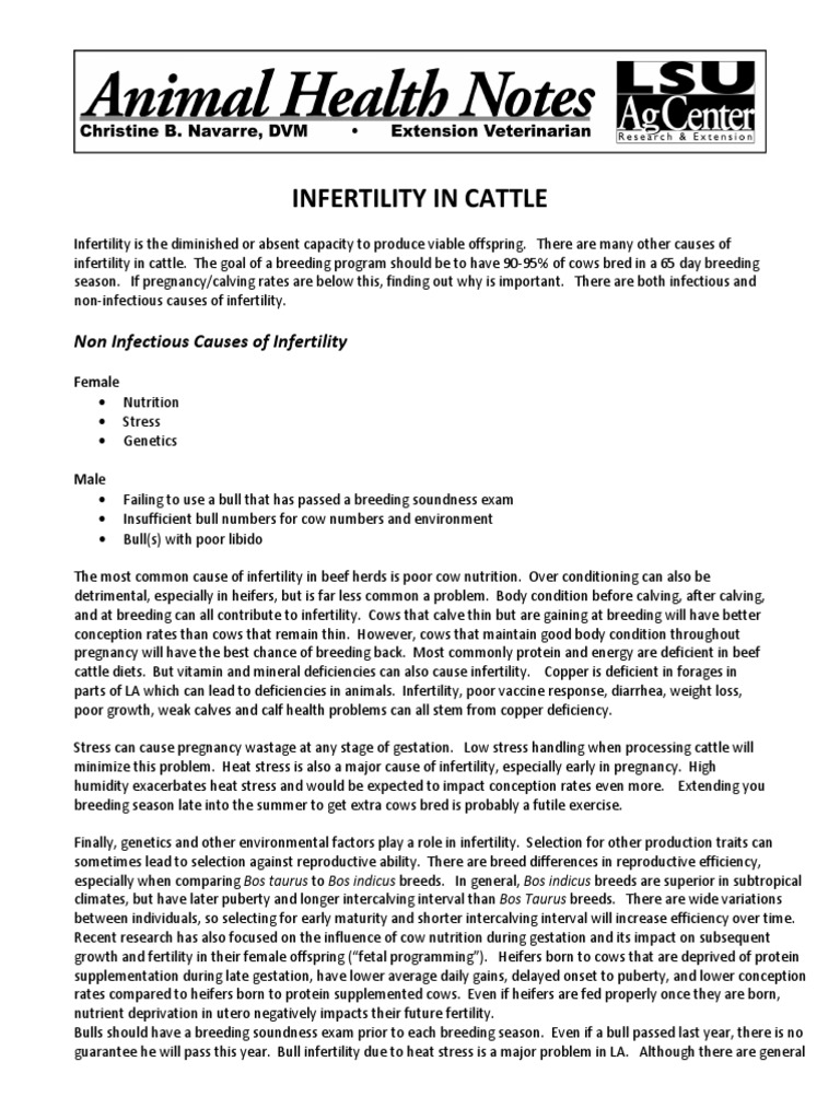 Infertility in Cattle | PDF | Calf | Cattle
