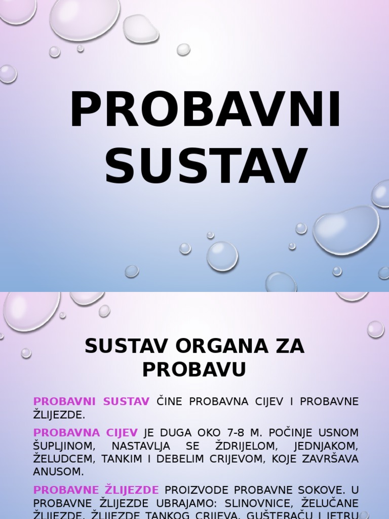 Probavni Sustav | PDF