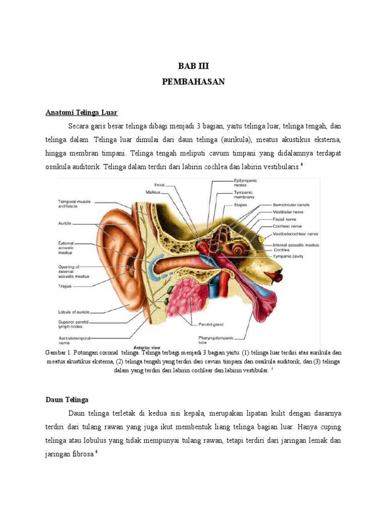 Bab III Pembahasan Fistula Preaurikula | PDF