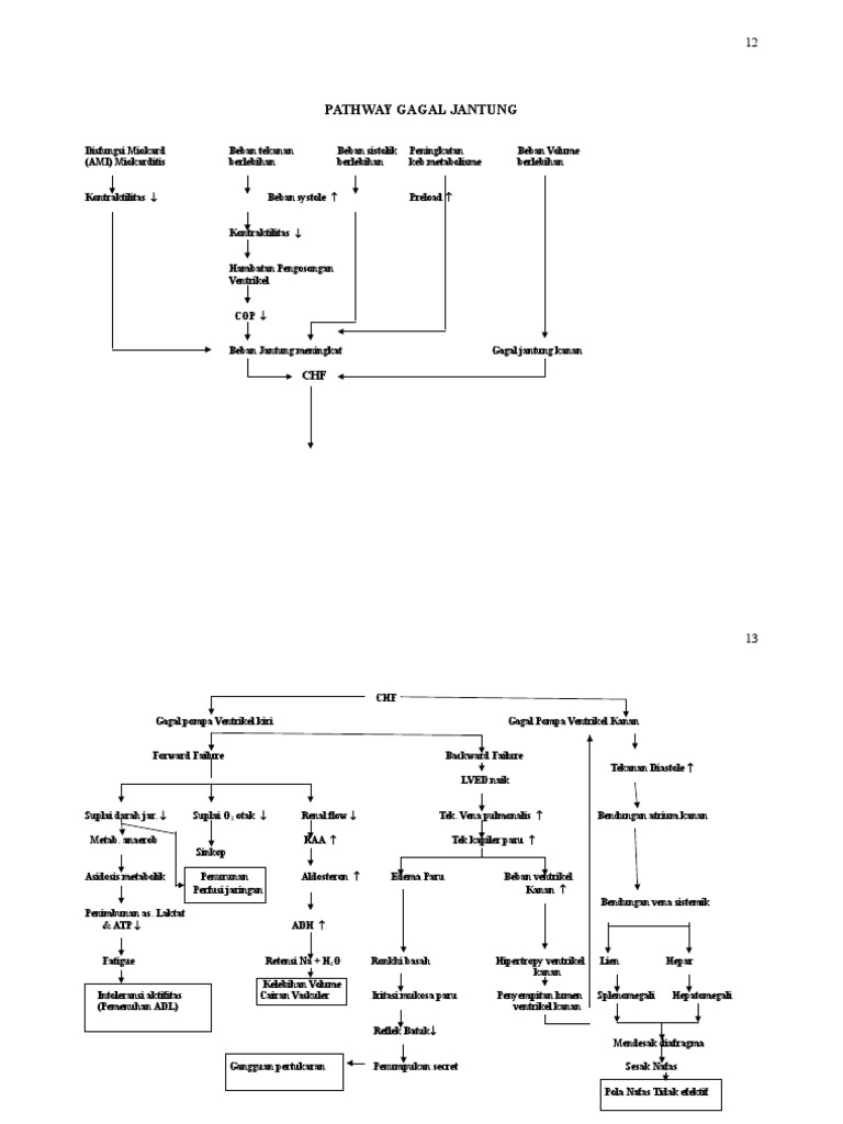 Pathway Gagal Jantung | PDF