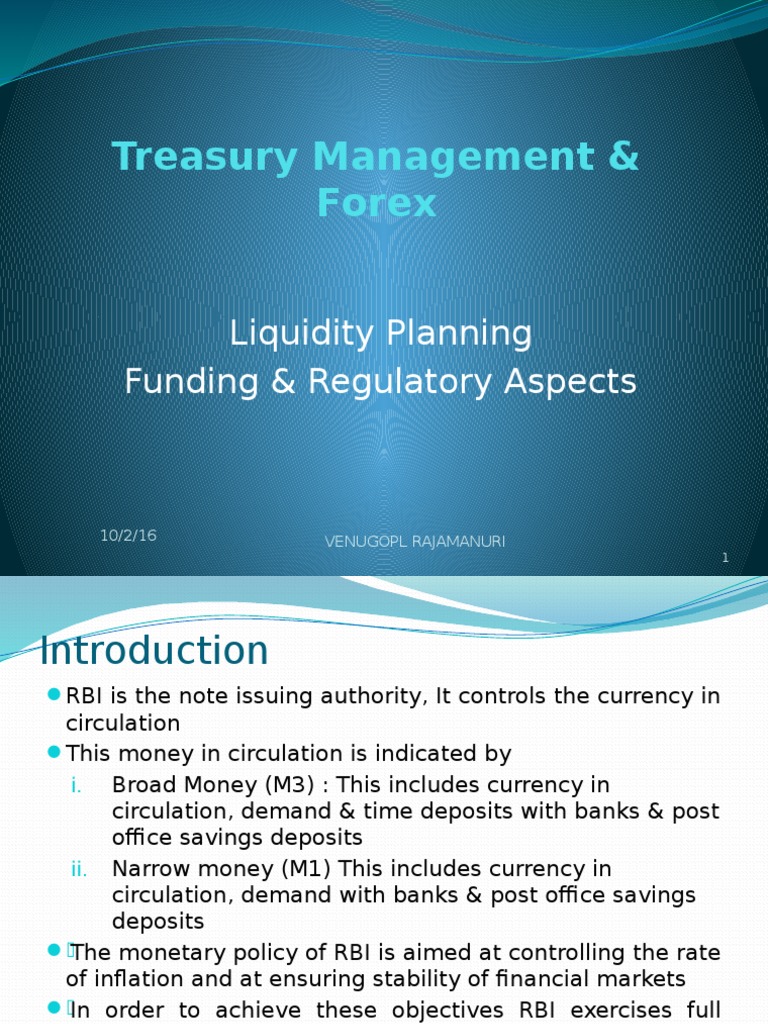 Liquidity Planning | PDF