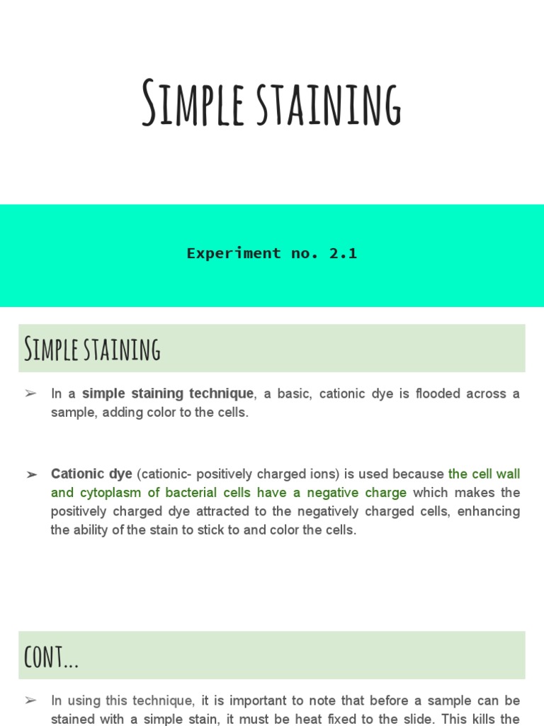 Simple Staining Technique Explained | PDF