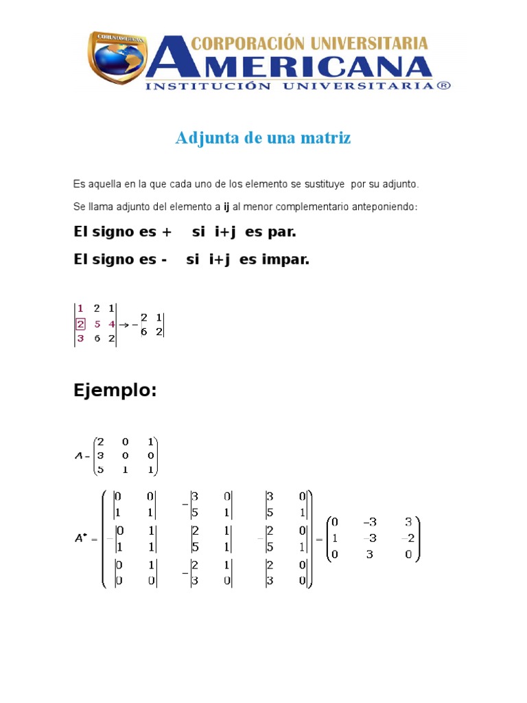 Adjunta de Una Matriz | PDF | Matriz (Matemáticas) | Álgebra lineal