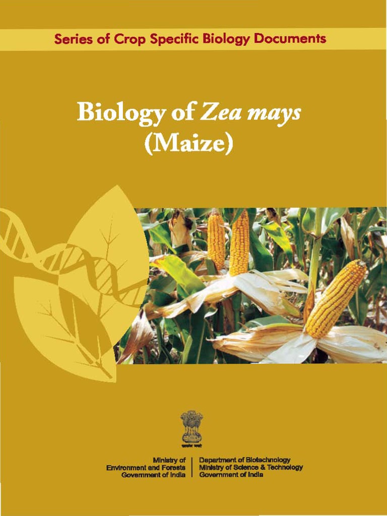 Biology of Maize | Maize | Flowers